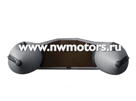 Купить моторно-гребную надувную лодку ПВХ FLINC FT320K по цене ...