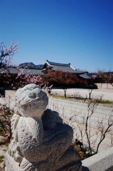 What Are The Haetae 해태 Korean Mythology Mythology Planet