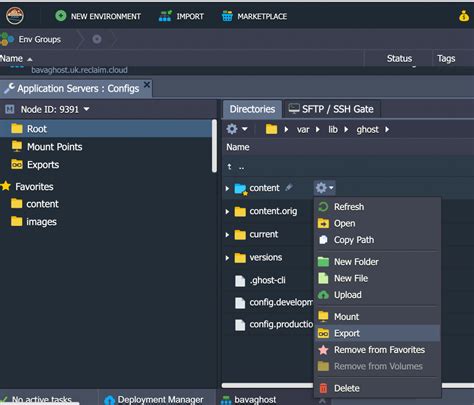 copying files between environments using export tool reclaim hosting