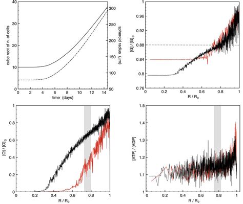 Simulation Of 3d Spheroid Growth In The Surface Controlled Regime A