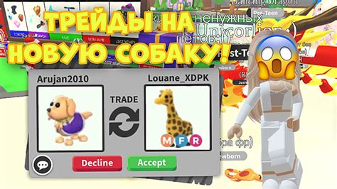 ТРЕЙДЫ НА ТЕРАПЕВТИЧЕСКОГО ЛАБРАДОРА В АДОПТ МИ РОБЛОКС ШОК ТРЕЙДЫ Adopr Me Roblox Therapy