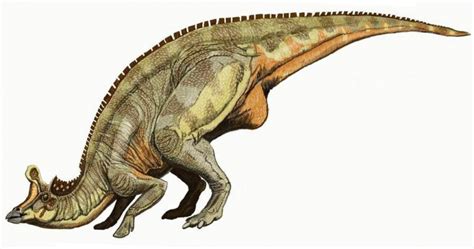 Lambeosaurus Paleontology World