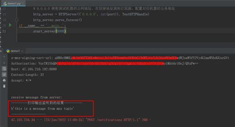 Python Server实现服务监听和地址回调 阿里云开发者社区