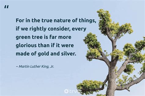 43 Tree Planting Quotes To Inspire You To Grow A Forest