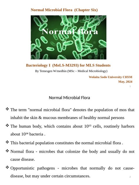 Chapter 6 Normal Flora Pdf Infection Hospital Acquired Infection