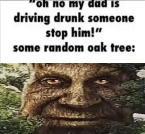 10 Memes About That Wise Mystical Tree Memes Funny Laugh Wise Tree 10 Memes About That Wise Mystical Tree Memes Funny Laugh Wise Tree