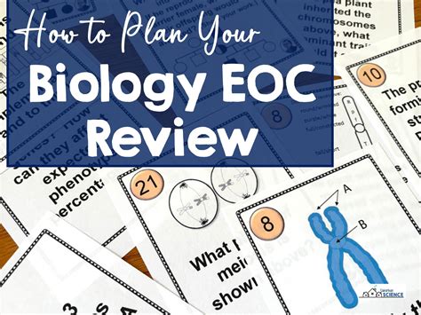How To Plan Your Biology Eoc Review Suburban Science