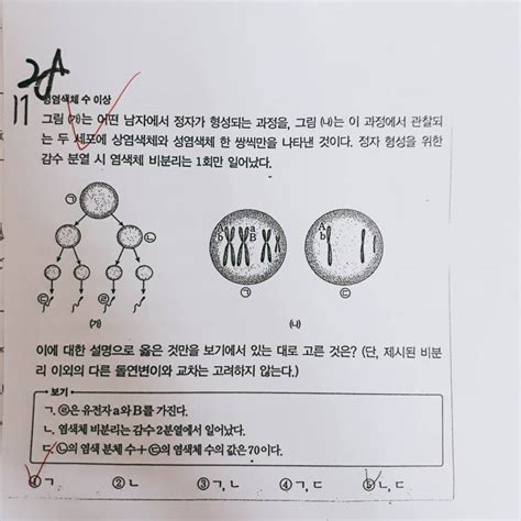 생물 유전문제좀 풀어줘ㅠㅠ 아마 별로 안어려울걸 인스티즈instiz 스터디 카테고리