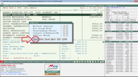 How To View All Creditor Ledger In Marg Software