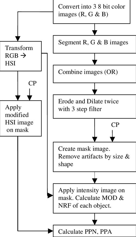Block Diagram Of The Image Analysis Algorithm Or Logical Or Operation Download Scientific