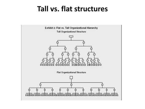 Ppt 22 Organization Structure Powerpoint Presentation Free Download