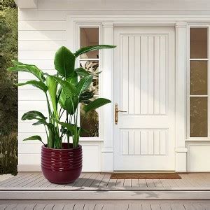 Chic Crate Modern Ceramic Planter Pots Set Of 3 Versatile Indoor