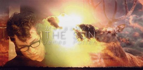 더쿠 해리포터 릴리x제임스로 가상캐스팅을 해보았다 2 스압주의