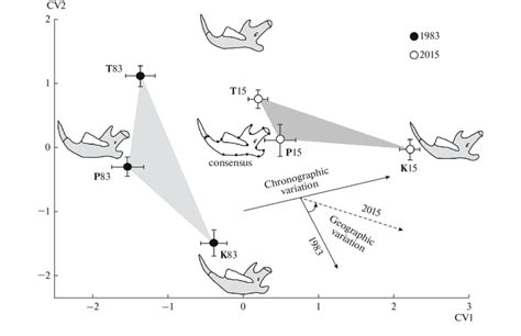 Results Of Canonical Analysis Of Procrustes Coordinates Characterizing