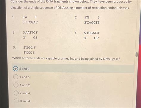Solved Consider The Ends Of The Dna Fragments Shown Below