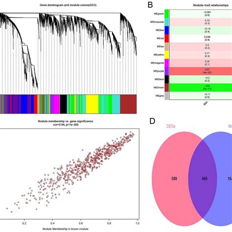 Weighted Gene Co Expression Network Analysis And Venn Diagram A Gene