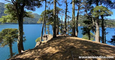 10 Imperdibles De La Araucanía Andina En Verano 👌
