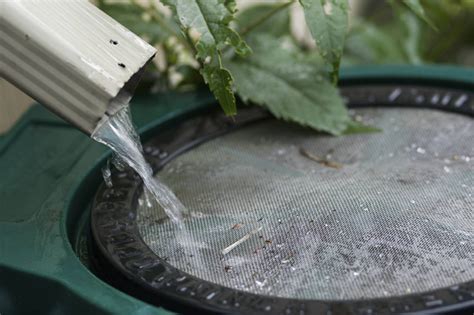 Tout savoir sur le récupérateur d eau de pluie Pratique fr