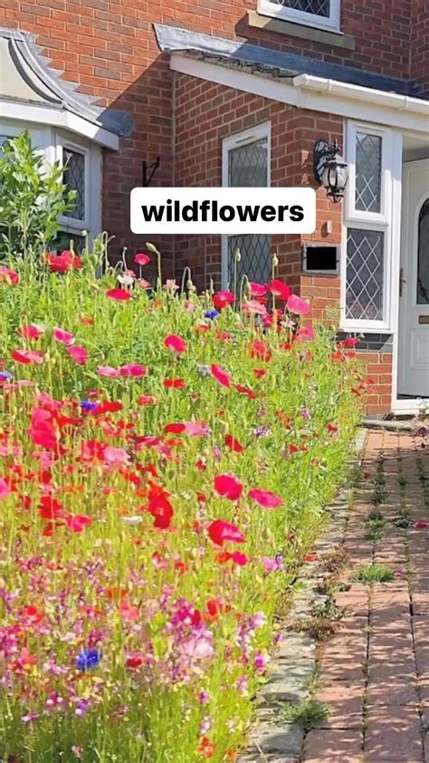 Livekindly Home Of Sustainability Grass Lawns Are Out Eco Friendly