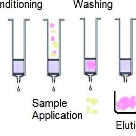 Column Technique Processing Steps Download Scientific Diagram