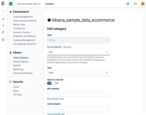 Discover Create Functional Test For Url Field Formatters · Issue