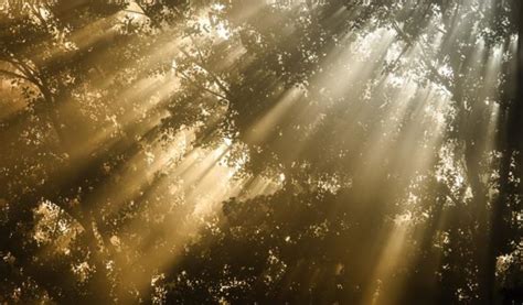 Rolf Sovik Psyd Himalayan Institute Online