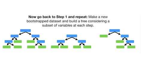 random forest building skills for data science