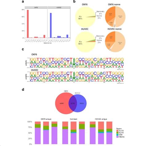 Characterization Of A To I Rna Editing Events In Human Epithelial And Download Scientific