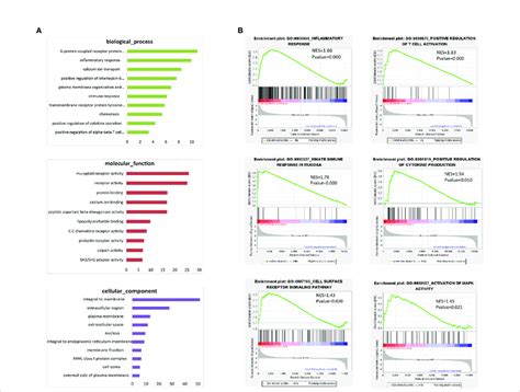 Microarray Analysis For Cd19 Icosl Cd19 Icosl B Cell Subset