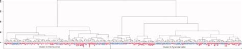 Graphical Representation Of A Hierarchical Clustering Dendrogram Download Scientific Diagram