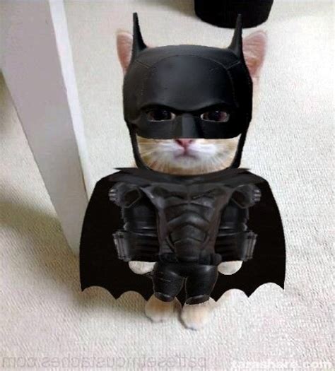 Cute Cat In Batman Costume