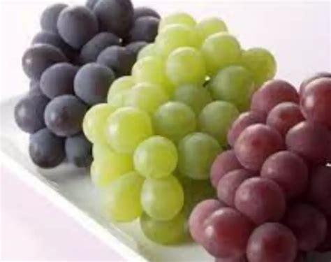 포도 효능 부작용 포도 종류 와인포도 차이 칼로리 요리 레시피 유래 등 궁금할 내용을 다 모아봤습니다 네이트뷰