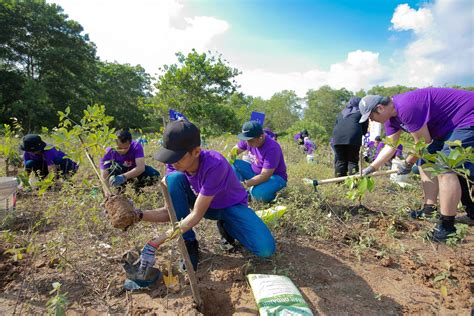 FedEx Employees Planting Trees For A Sustainable Future Lis Affair