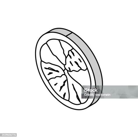 오레가노 음식 허브 아이소 메트릭 아이콘 벡터 일러스트 레이 션 계피에 대한 스톡 벡터 아트 및 기타 이미지 계피 등측