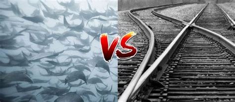 Data Integration Vs Data Migration What S The Difference Best Data Integration Vendors