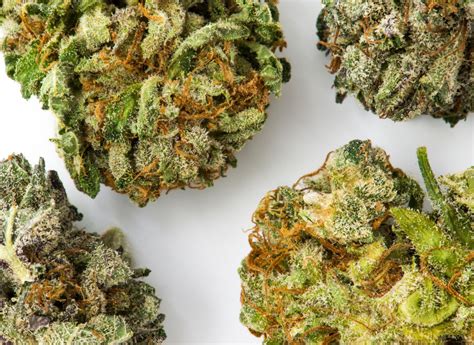 Understanding Humulene Effects Of Cannabis Terpenes Nama