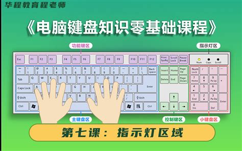 第七课《电脑键盘知识大全》零基础自学基础课程办公入门必备掌握操作技能知识指 哔哩哔哩