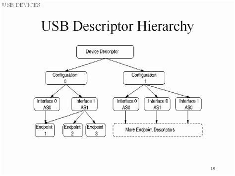 usb descriptor hierarchy