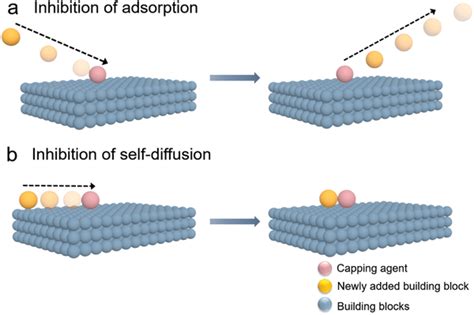 Influence Of Capping Agents To The Crystal Morphology The Blue Sphere Download Scientific