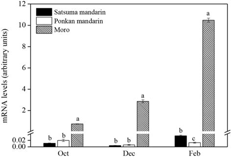 Gene Expression Analysis Of Citf3h In The Juice Sacs Of Satsuma Download Scientific Diagram