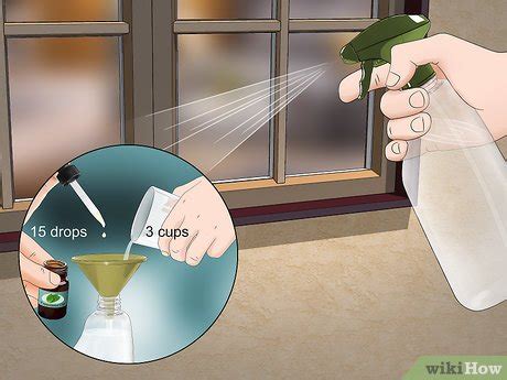 Ways To Keep Spiders Out Of Your House Wikihow