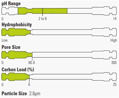 Accucore Phenyl X Cromlab Instruments Es