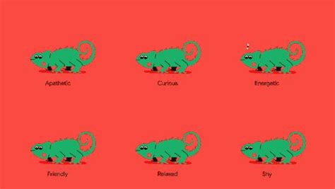 Spotify Pet Playlists Cartoon Character Design Animated Characters