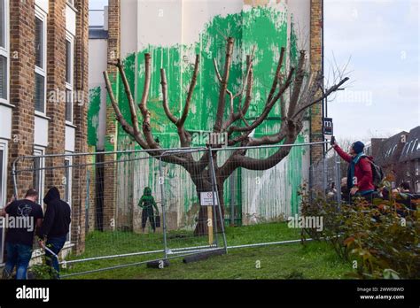 London England Uk 20th Mar 2024 The New Tree Mural By Street Artist Banksy Which