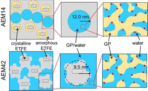 Long Functional Graft Polymer Induced Multiscale Morphological