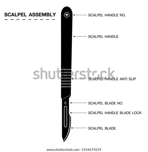 Illustration Scalpel Assembly Vector Knife Sign Stock Vector Royalty