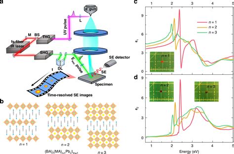 Time Resolved Spectroscopy