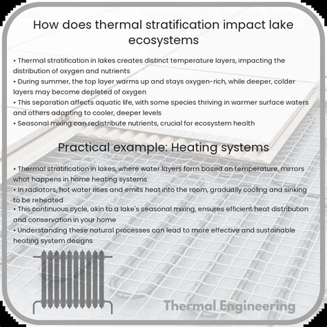 How Does Thermal Stratification Impact Lake Ecosystems
