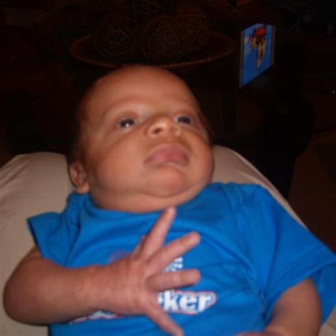 🦄 Bomdas Dombas Tiktok