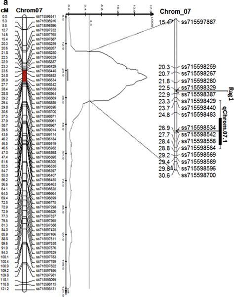 Linkage Map And Location Of Quantitative Trait Loci Qtl Associated